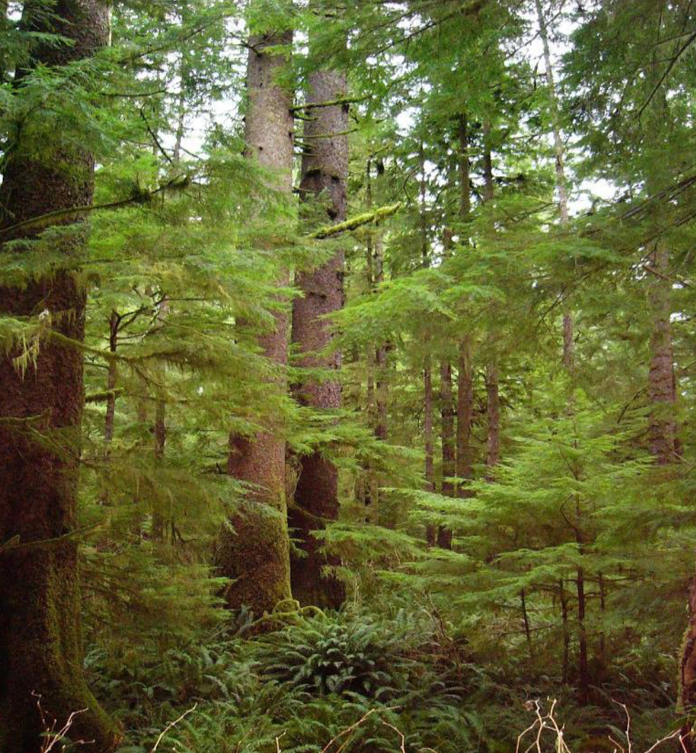 Terry's "Zones and Subzones" Part 5 - Vancouver Island Trail